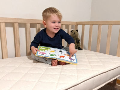 Australian-Made Solid Timber Bed Frame | Quokka Beds